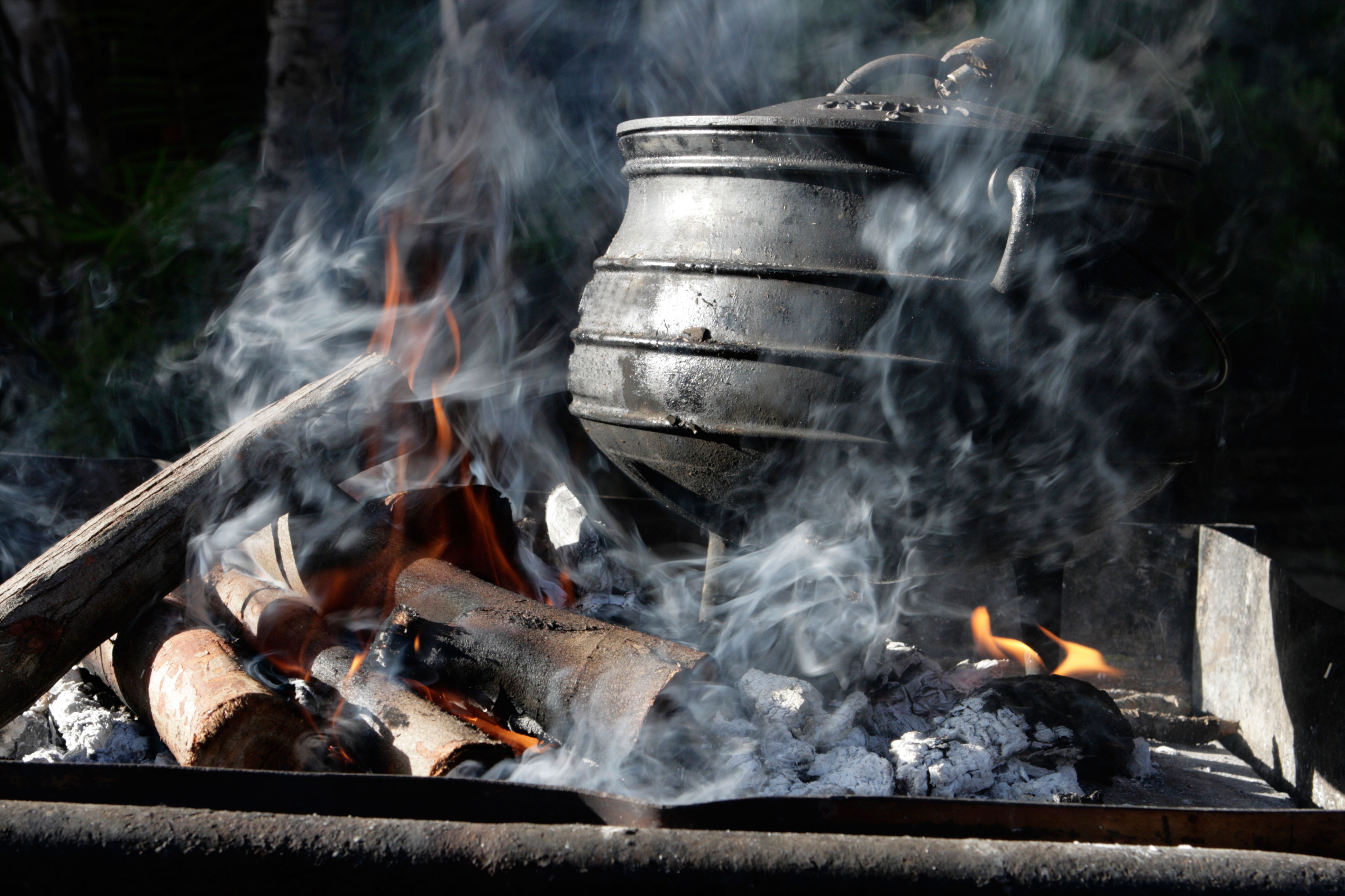 Wood Cooking Stoves Combat Pneumonia | National Institutes of Health (NIH)