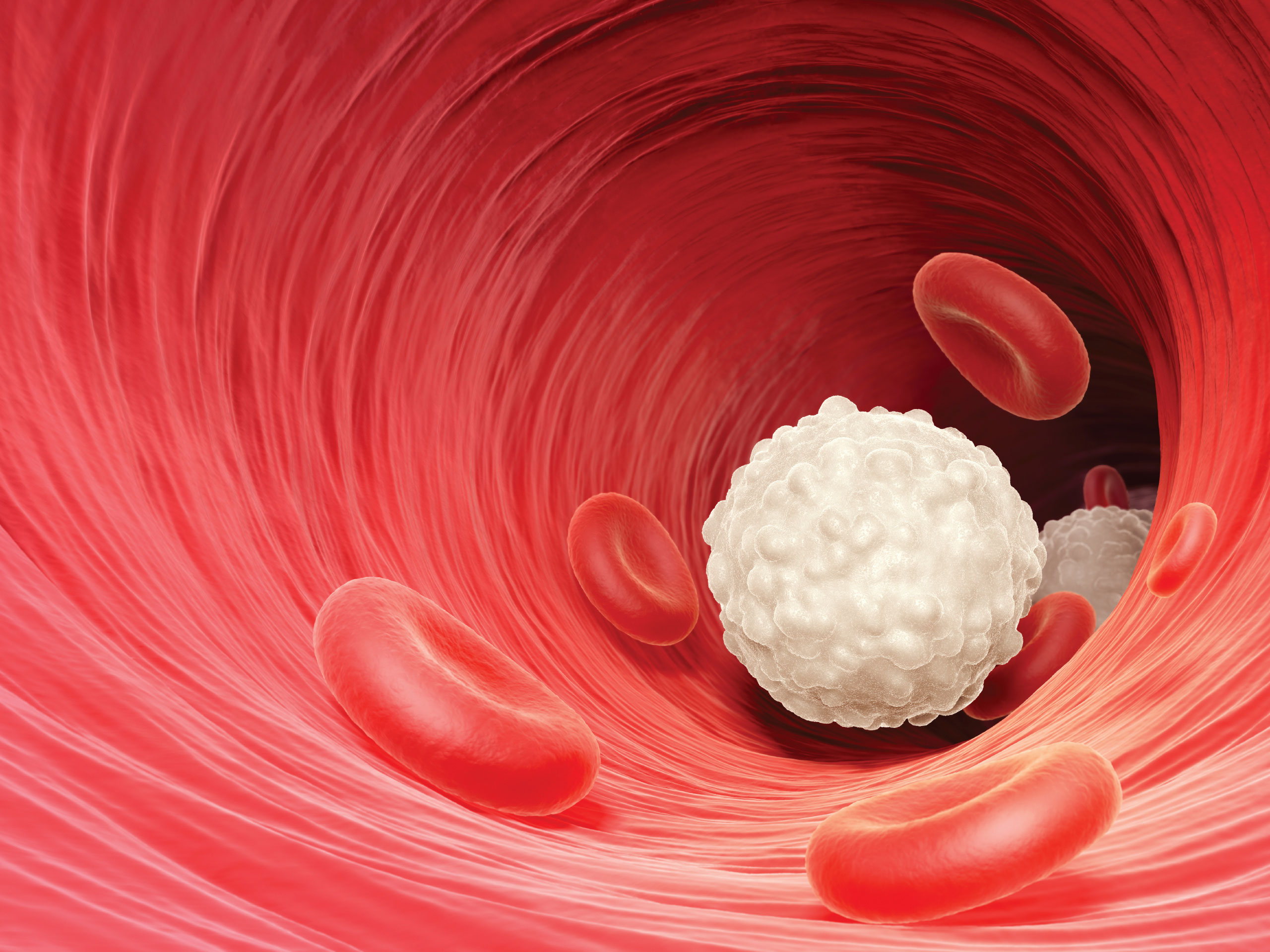 Therapy Repairs Ravaged Immune System | National Institutes of Health (NIH)