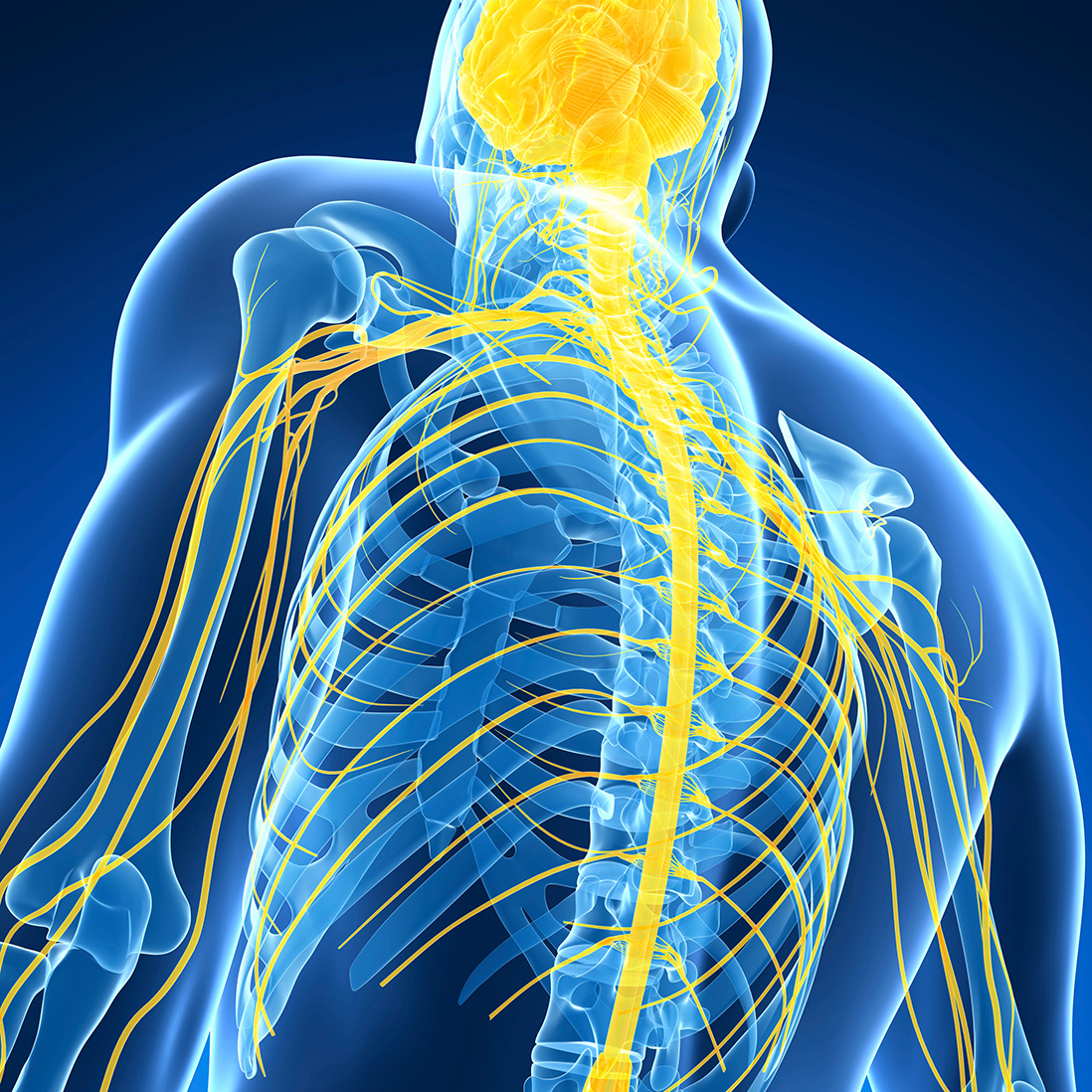 Vitamin D Levels Predict Multiple Sclerosis Progression | National ...