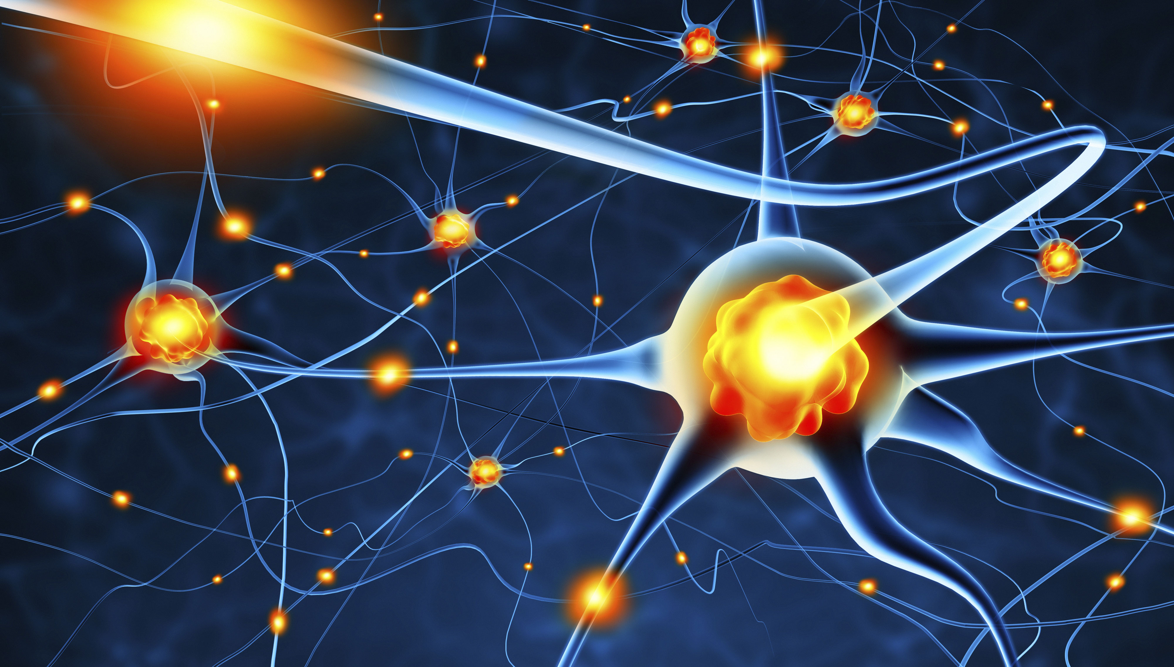 Self-Tuning Neurons Promote Resilience to Stress, Depression | National ...