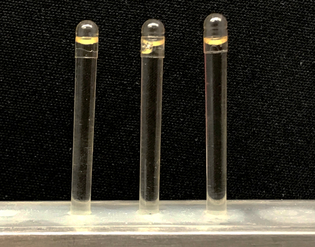 Protective liquid enables oral insulin delivery in rats | National ...