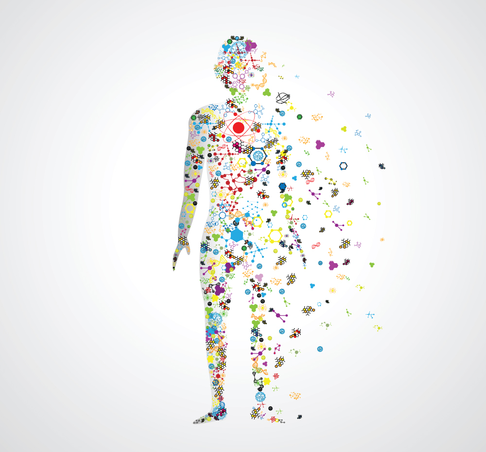 Searching for new antibiotics in the human body | National Institutes ...