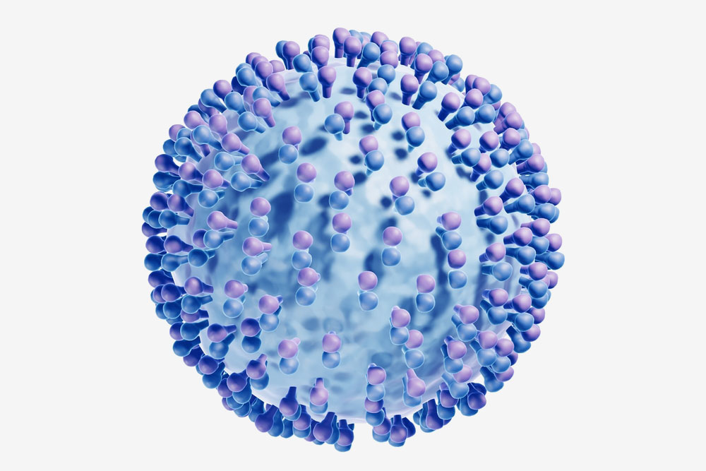 Structure of hepatitis C proteins reveals viral vulnerabilities ...